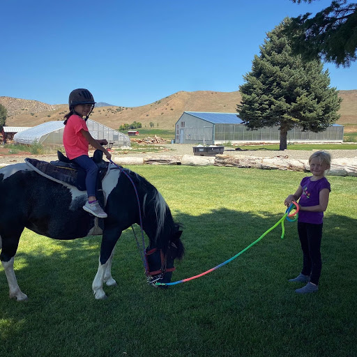 Modern Dude Ranch Uses Solar Greenhouse to Help Heal Wounded Vets and ...