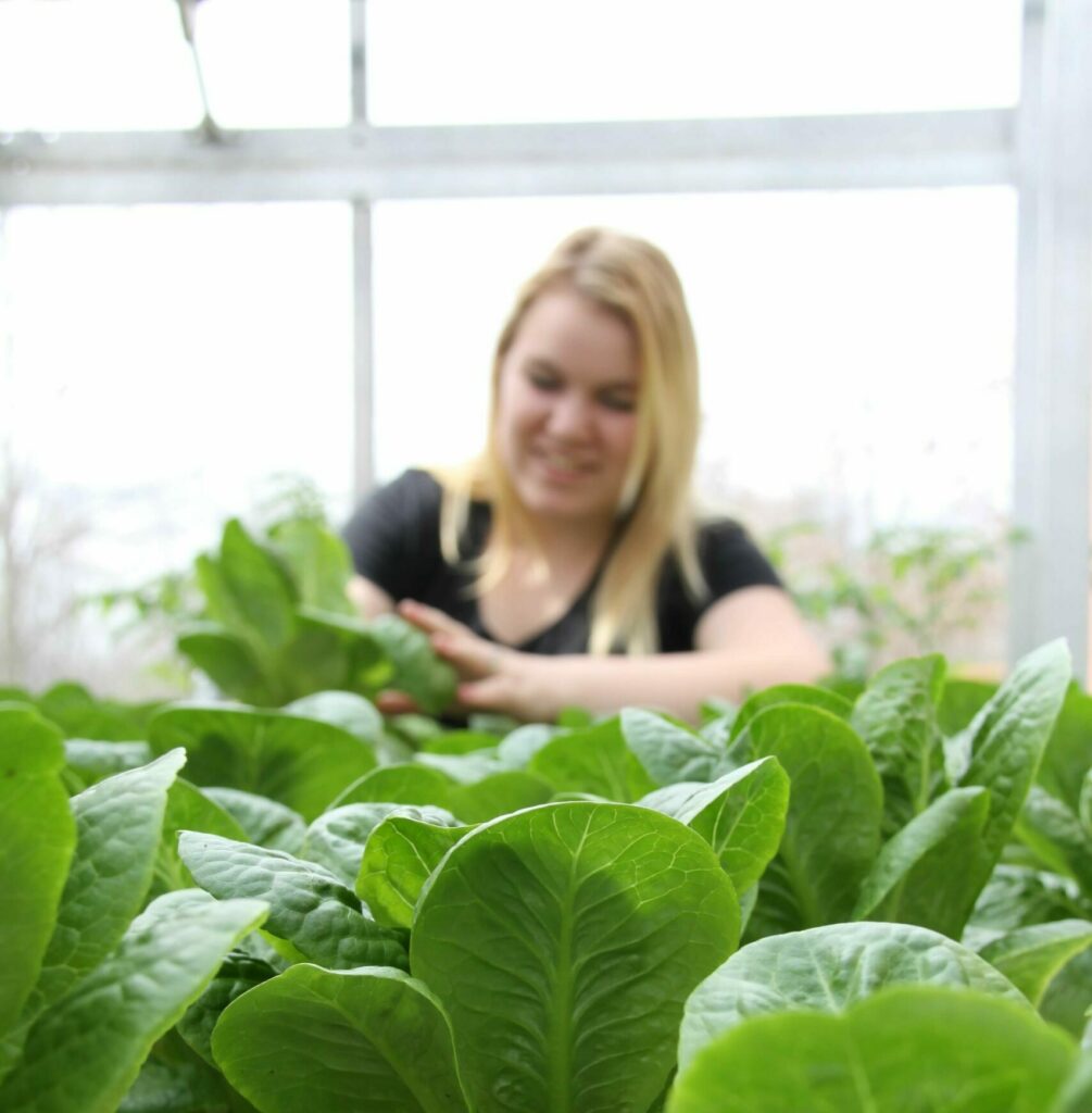 Greenhouse Climate Control Systems - Climate Controlled Greenhouse Kits