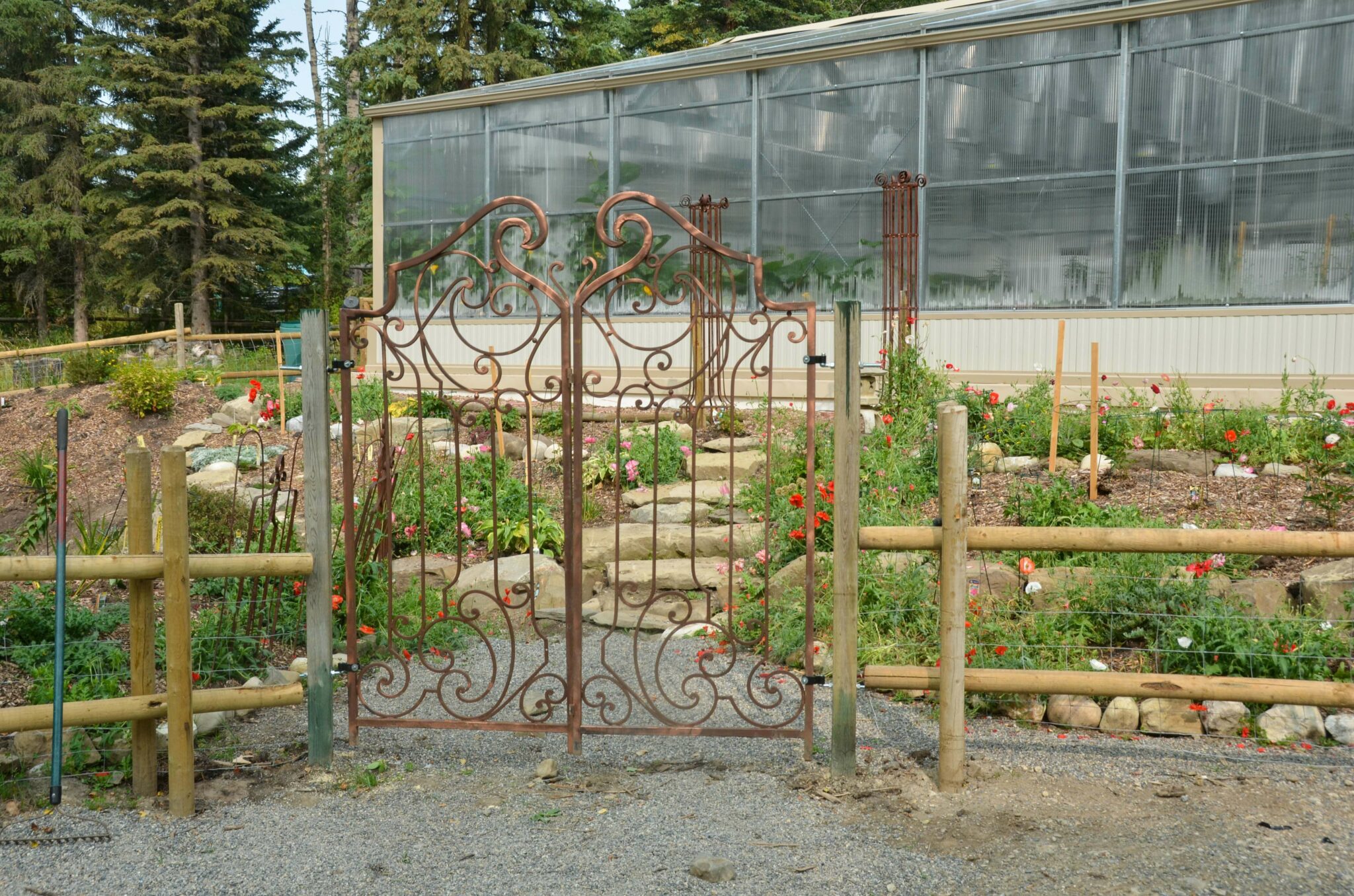 Commercial Greenhouse Alberta | Strongest Alberta Greenhouse