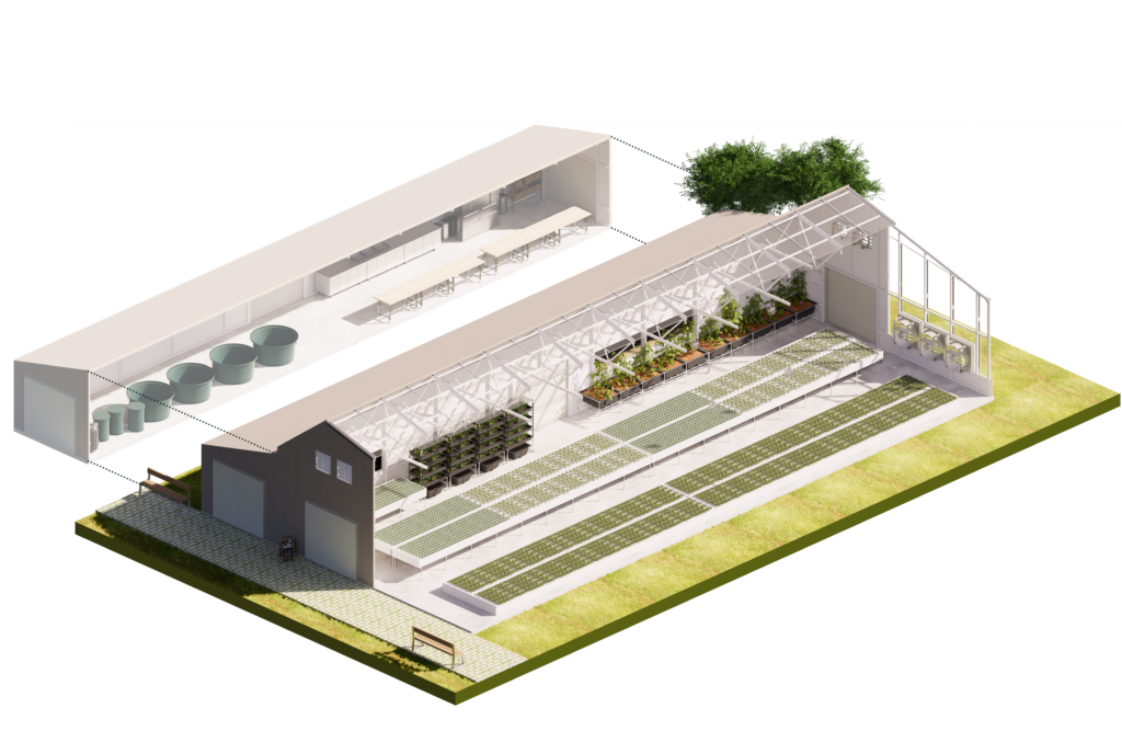 Can I Feed my Family of 4 with a Greenhouse?