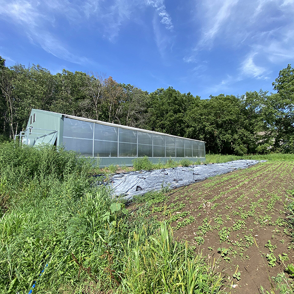 Ceres Greenhouse Solutions | Commercial Year-Round Greenhouses